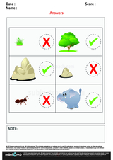 Free Year 1 Science Worksheets